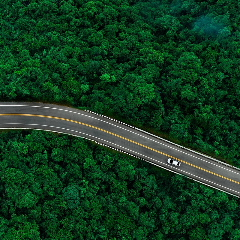 The Business Success Roadmap: Goals & Overcoming Challenges (FREE Guide)