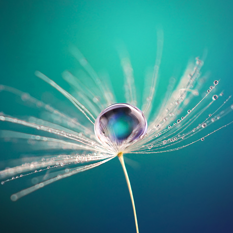 The Power of Compounding Work in Business | Small Actions, Big Impact